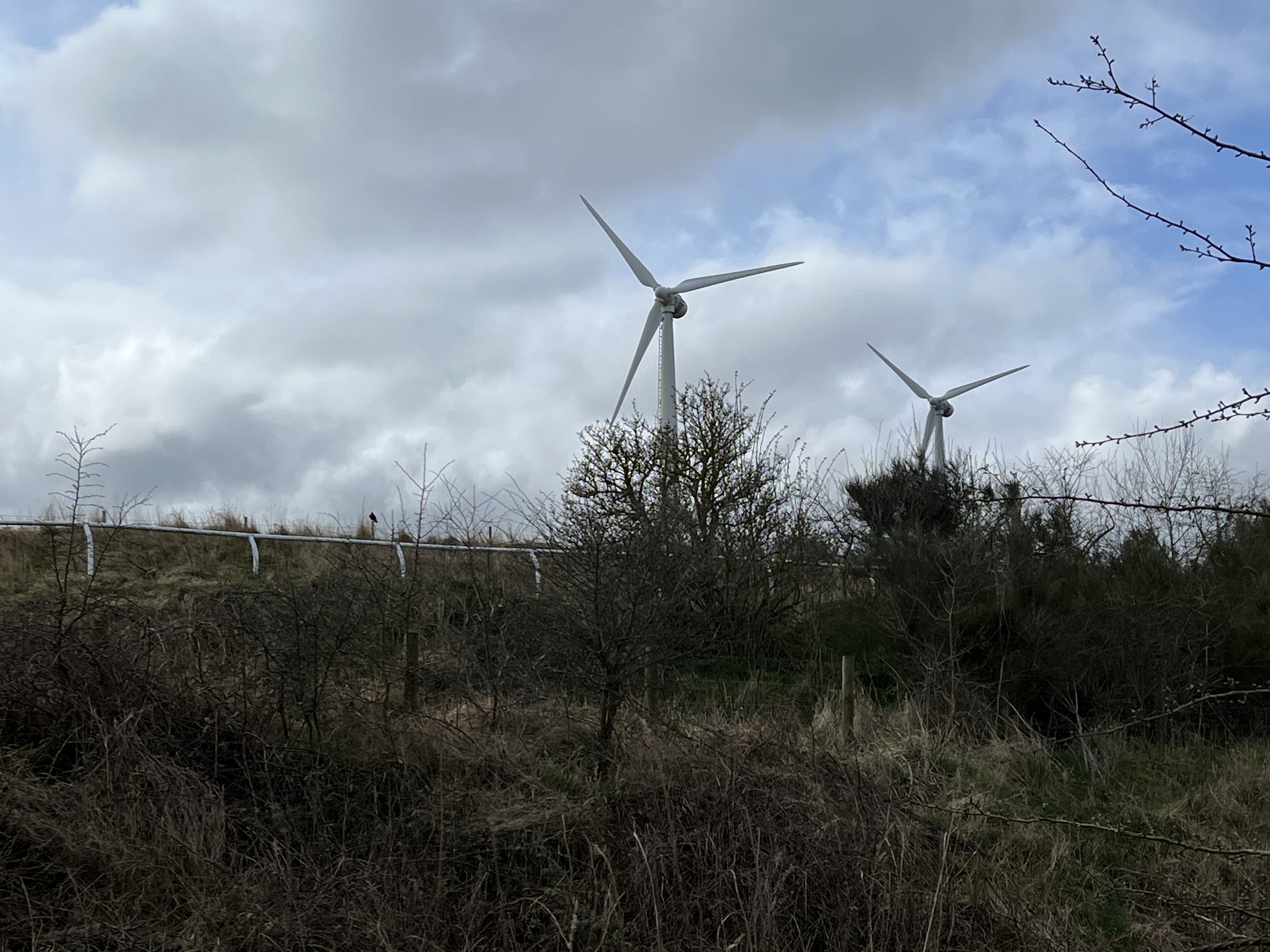 Why workers and climate activists should reject the ‘British energy ...